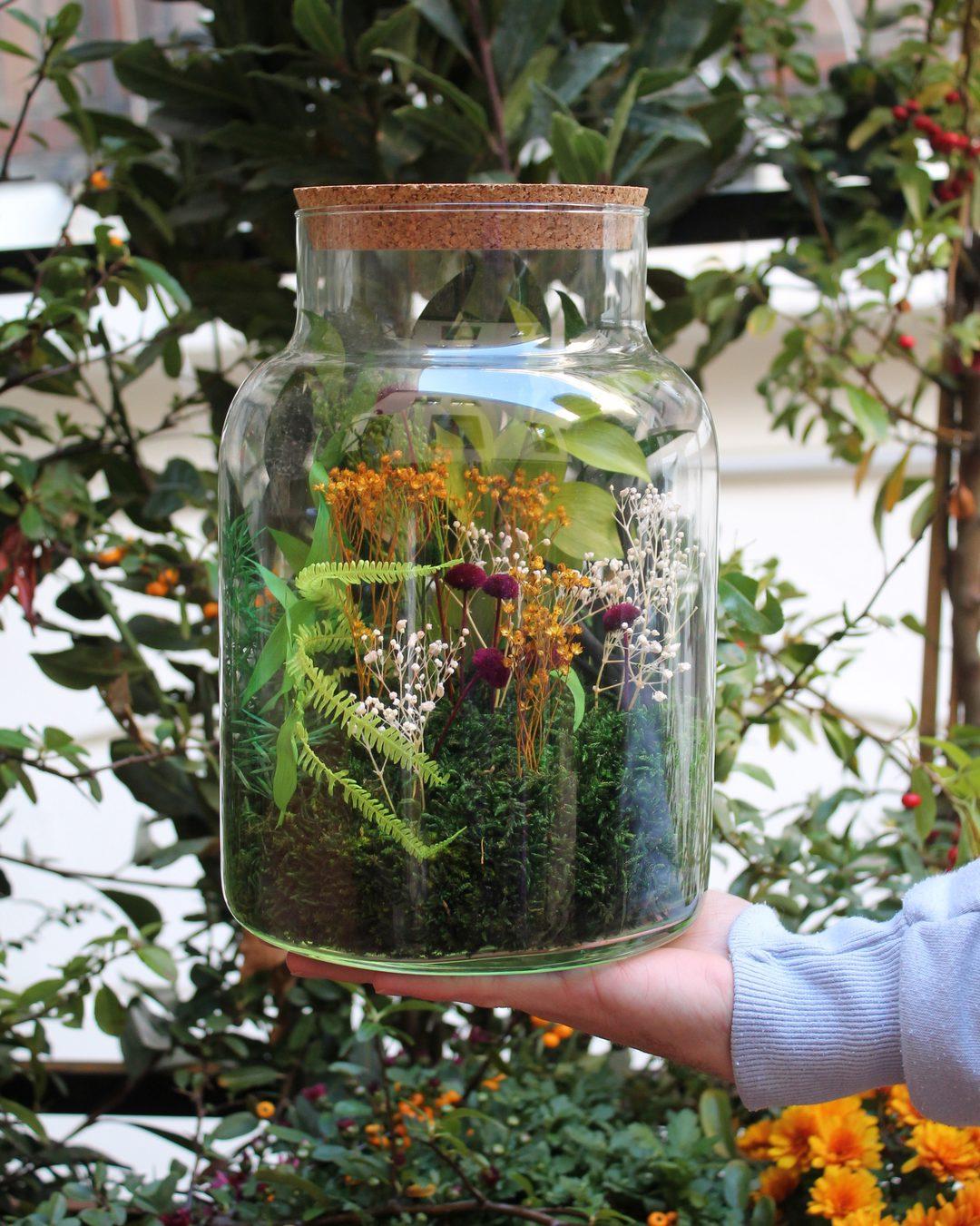Atelier terrarium floral - Hobbymood