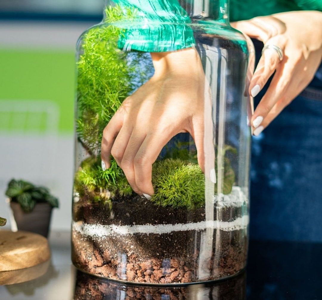 Atelier terrarium vivant - Hobbymood